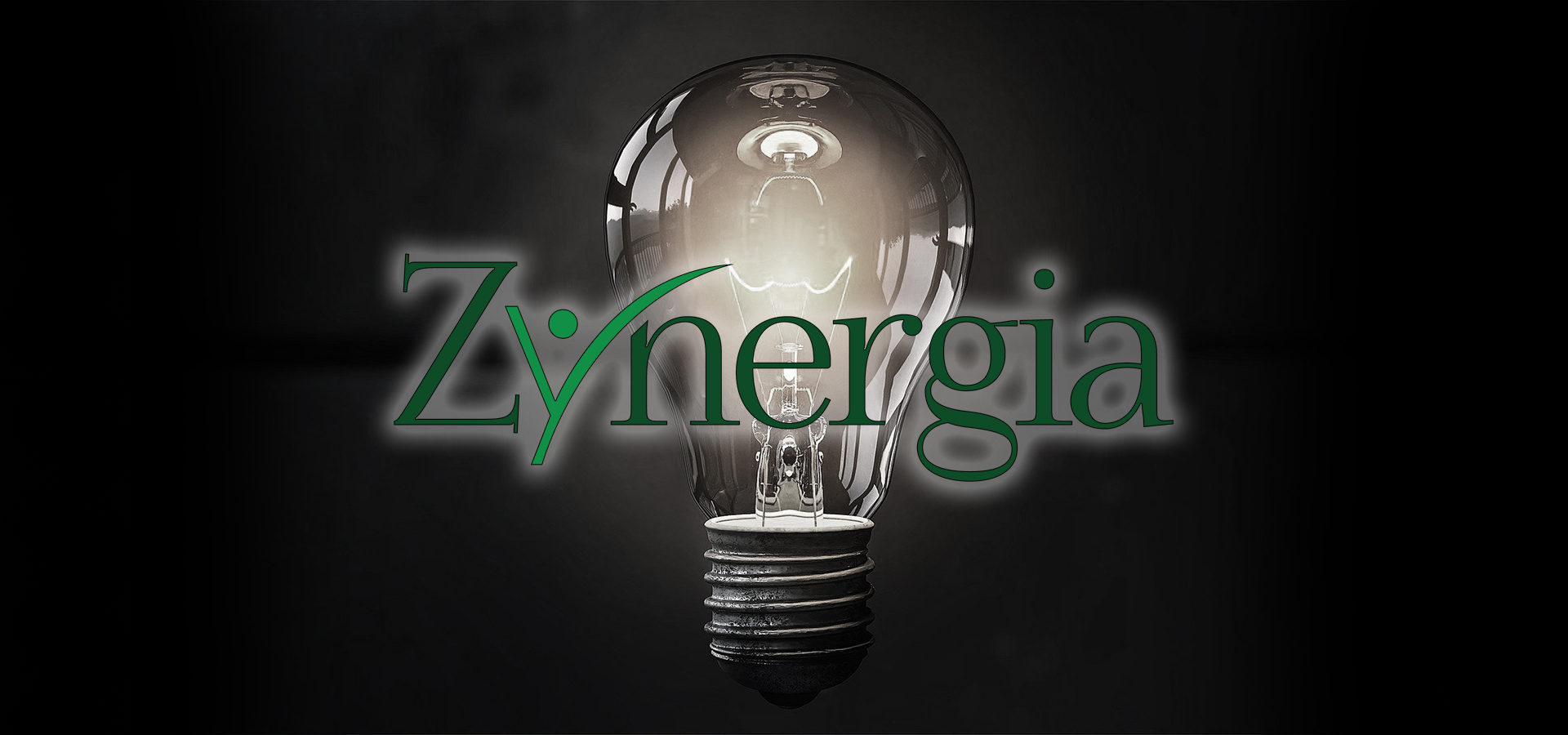 Our Story - Zynergia